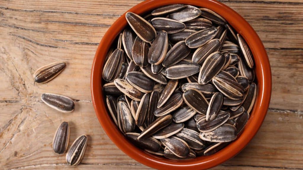 Pipas España: ¿Cuál es su origen?